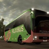 MAN LIONS COACH FLIXBUS SKIN V1.0 ETS2 - ETS2 Mod Download